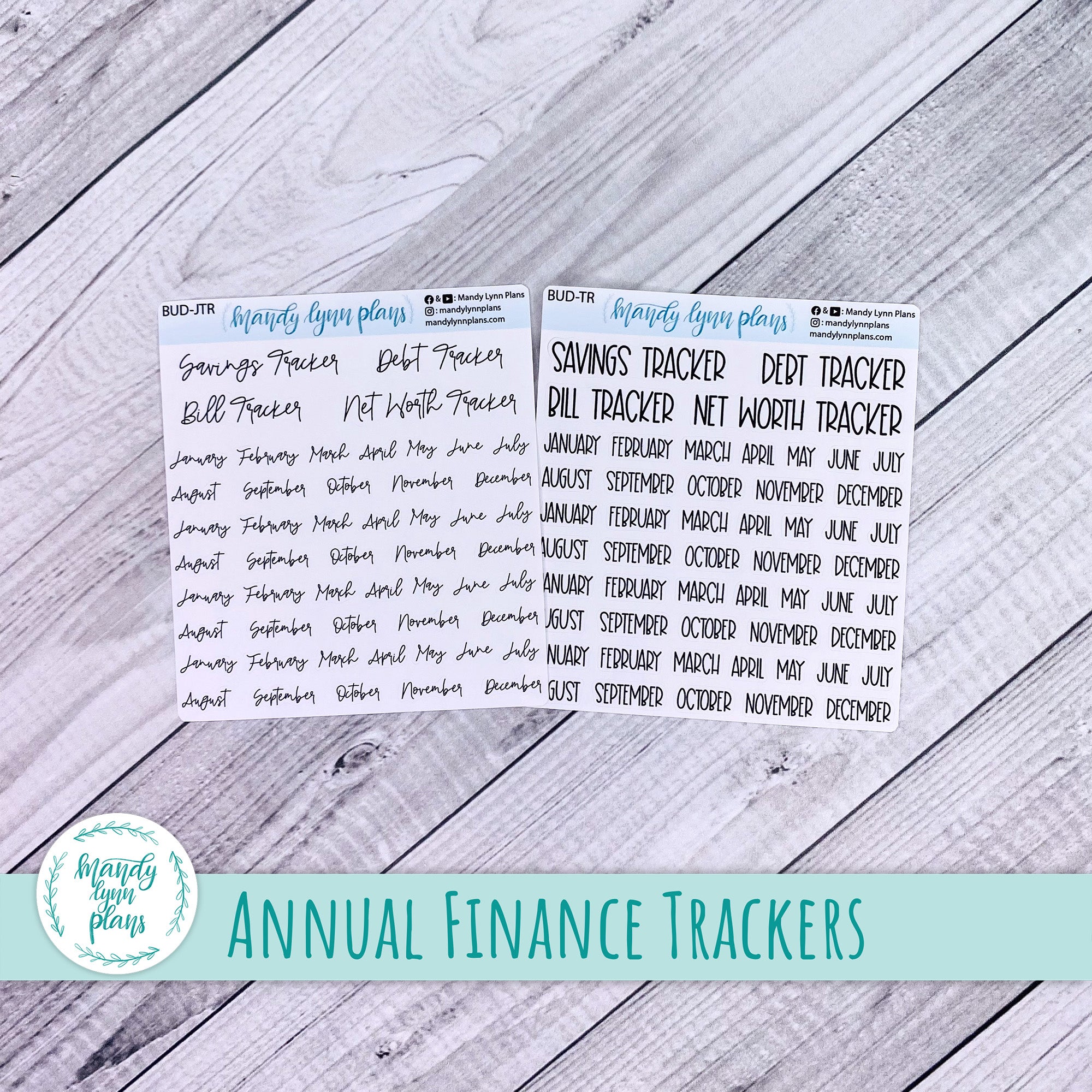 Budget Annual Finance Tracker Scripts – Mandy Lynn Plans