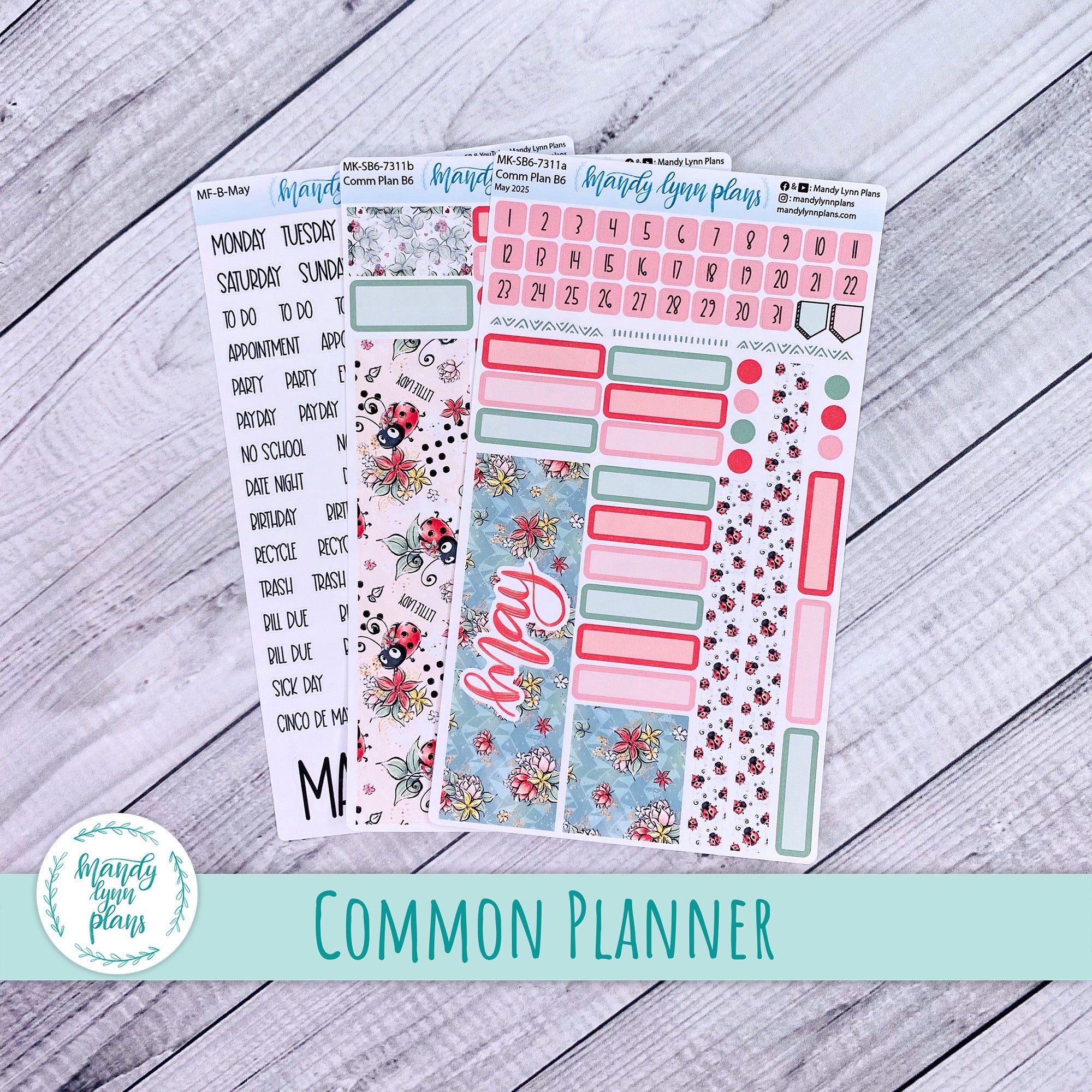 May 2025 Common Planner Monthly Kit || Ladybugs || 311 – Mandy Lynn Plans