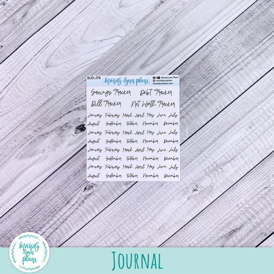 Budget Annual Finance Tracker Scripts – Mandy Lynn Plans