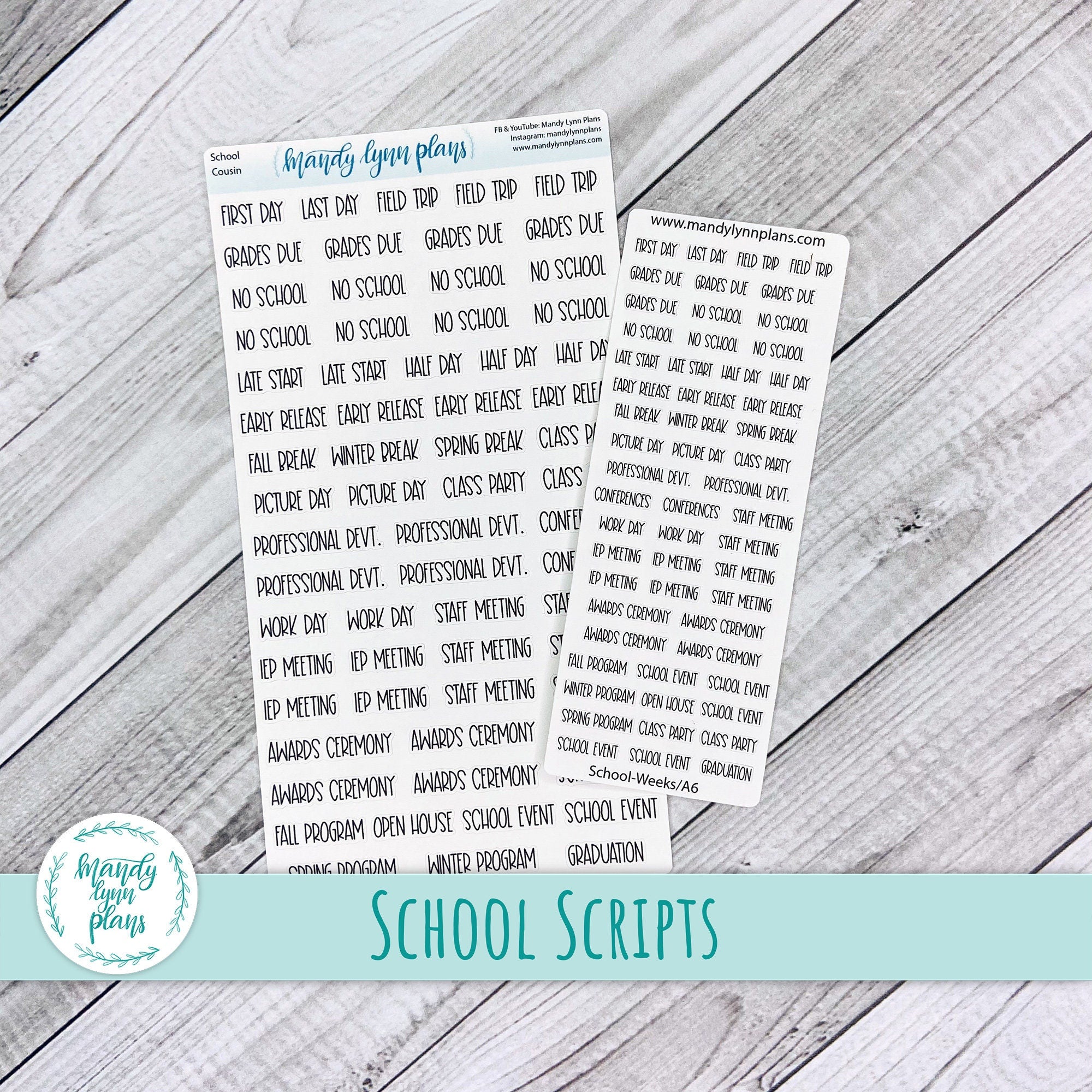 School Scripts – Mandy Lynn Plans